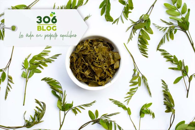 ¿Qué es el Sen y cómo se toma el té? - Blog Tienda 306